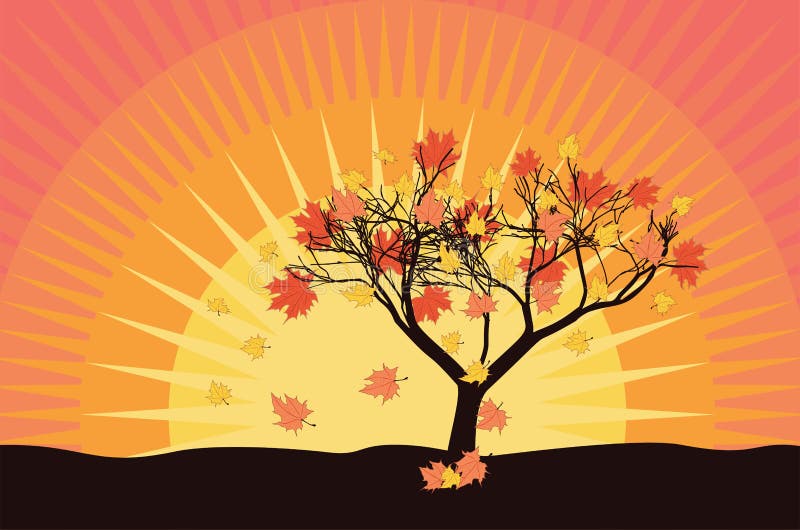 Autumn Maple Tree and Sunset Sky Stock Vector - Illustration of element ...