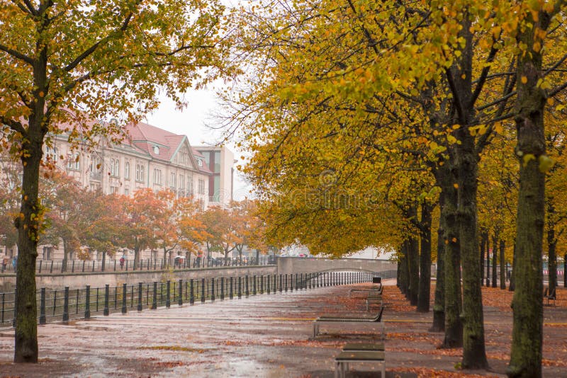 Germany, Berlin, Street Under the Linden Tree, Autumn, Maple Trees ...