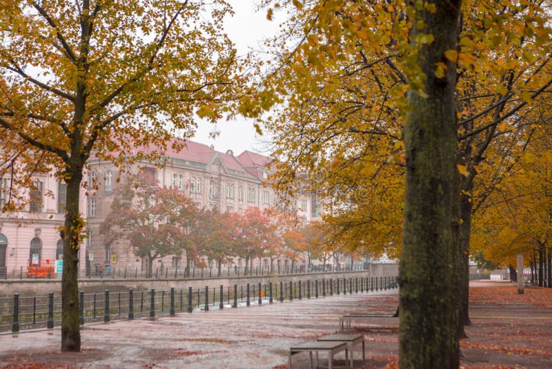 Germany, Berlin, Street Under the Linden Tree, Autumn, Maple Trees ...