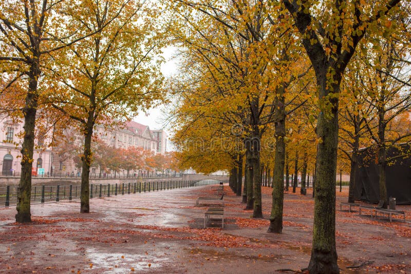 Germany, Berlin, Street Under the Linden Tree, Autumn, Maple Trees ...
