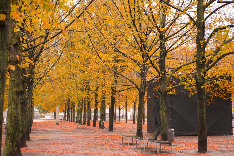 Germany, Berlin, Street Under the Linden Tree, Autumn, Maple Trees ...