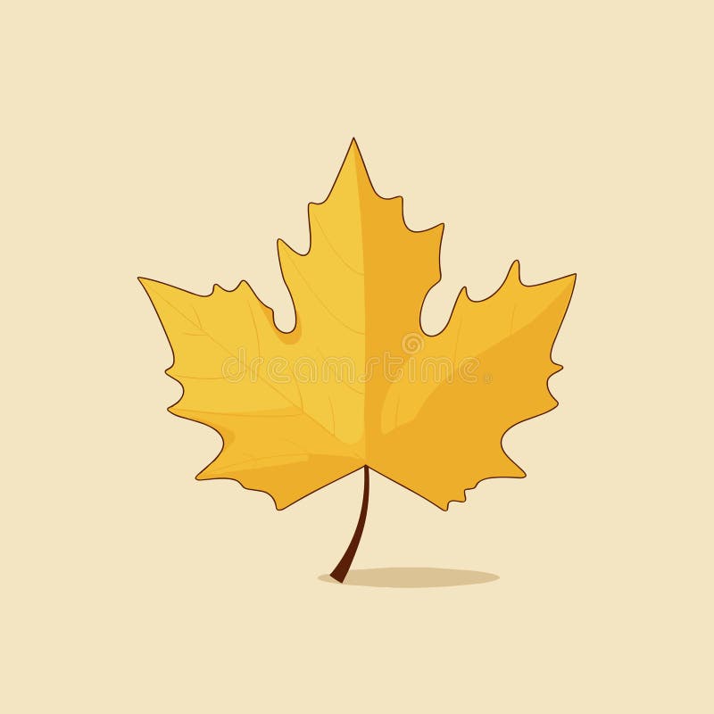 Autumn Maple Yellow Leaf Isolated, Vector Illustration Stock Vector ...