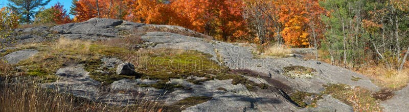 Canadian shield rocks stock image. Image of summer, shield - 32345479