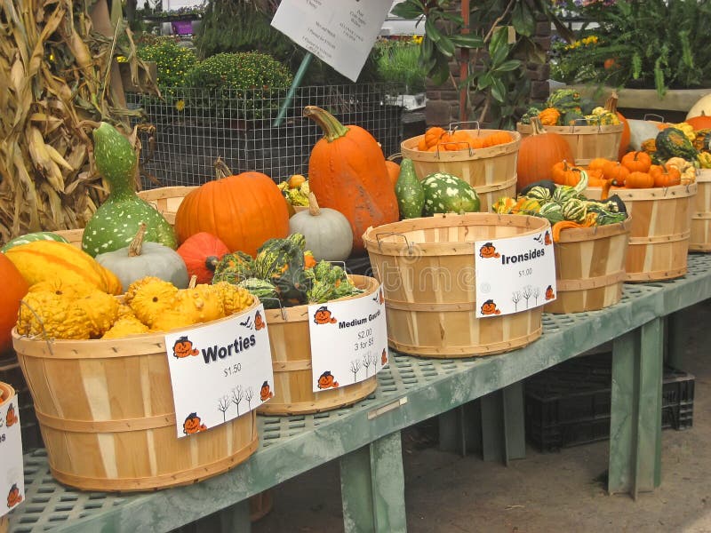 Autumn Market Picture. Image: 1301679