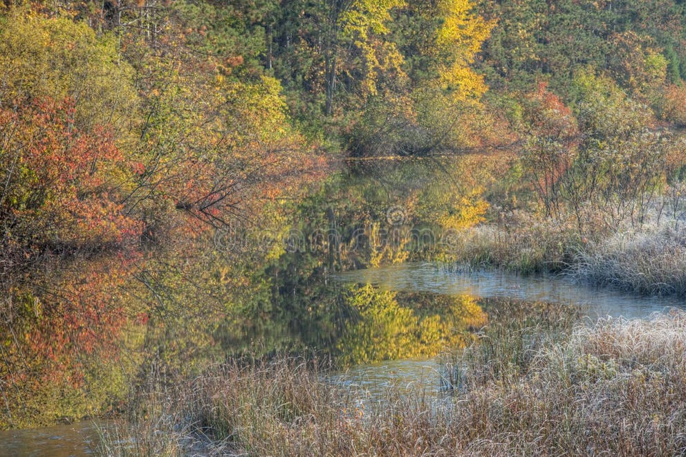 Autumn Marsh stock image. Image of wetland, frost, yellow - 11569867
