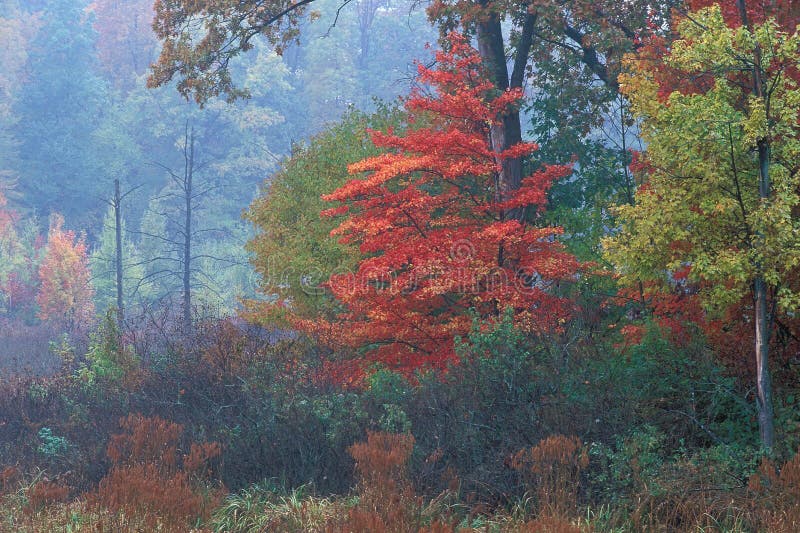 Autumn Lake Superior Shoreline Stock Photo - Image of coast, nature ...