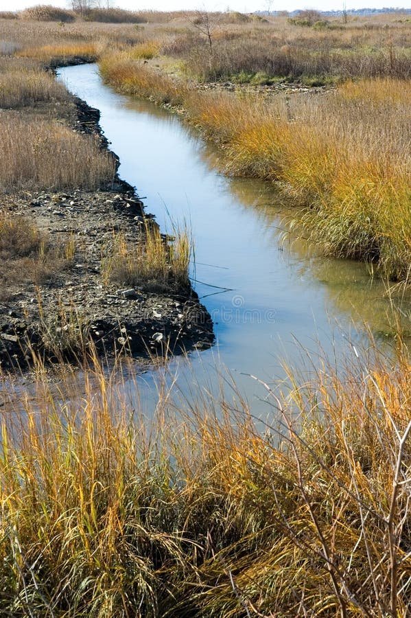 Autumn Marshland stock image. Image of marshland, creek - 348349