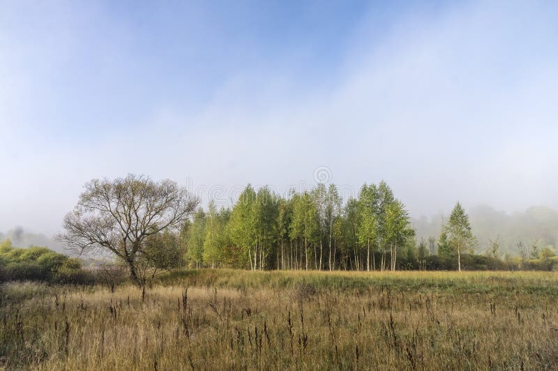 Autumn meadow. Bush stock image. Image of blue, road - 190043205
