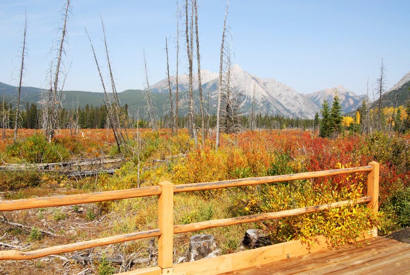 Autumn meadows landscape stock image. Image of colors - 7092491