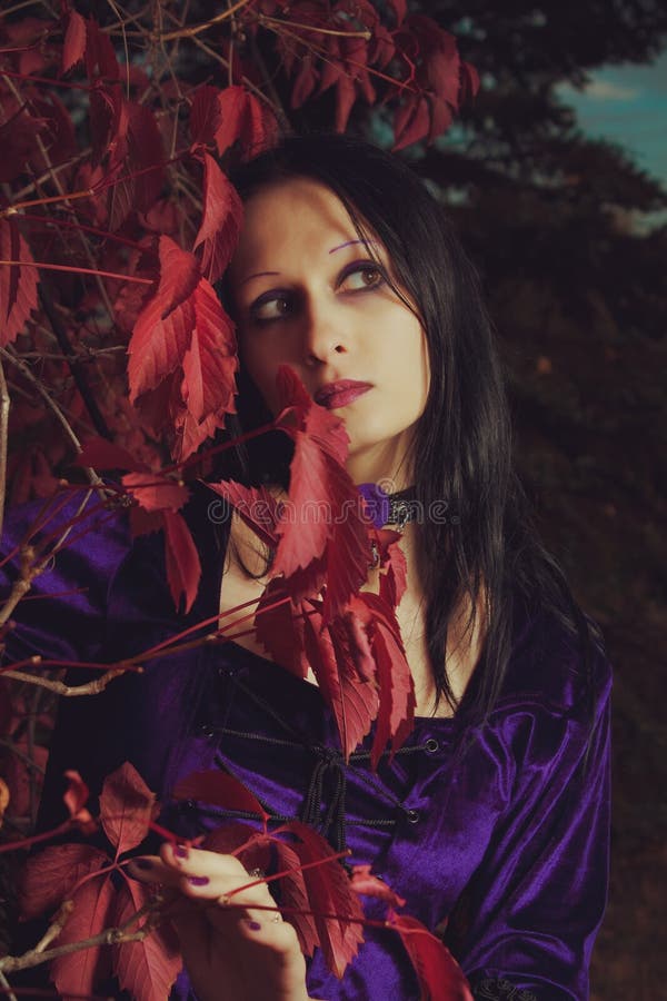 Autumn melancholy stock image. Image of cold, goth, park - 27305615