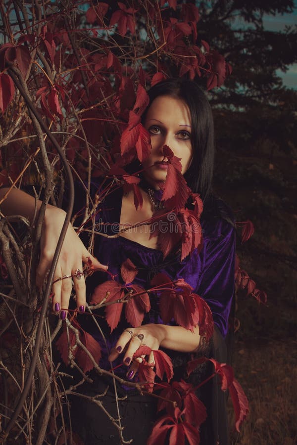 Autumn melancholy stock photo. Image of fear, beautiful - 27305644