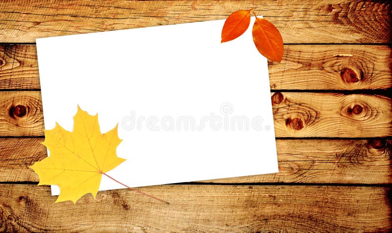 Blank Card Over Autumn Leaves Stock Photo - Image of holiday, thank ...