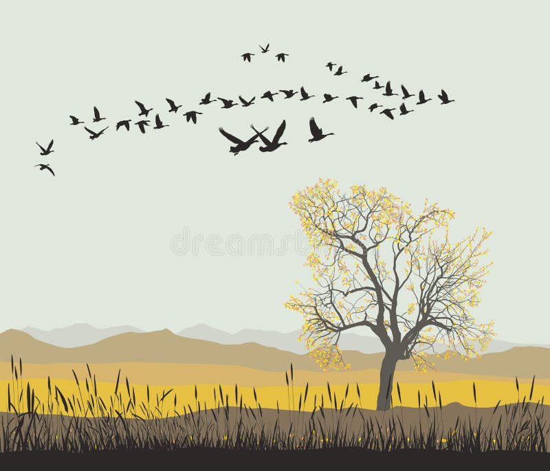 Animal Migration Stock Illustrations – 15,208 Animal Migration Stock ...