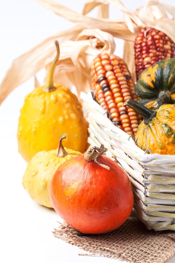 Autumn mini pumpkins stock image. Image of country, fall - 33532375