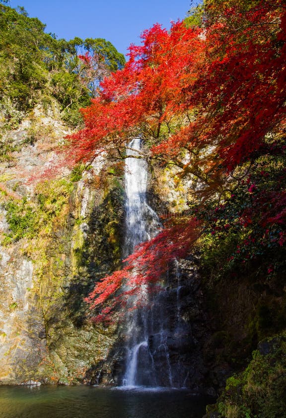 Autumn at Minoo park stock image. Image of fall, beautiful - 171850801