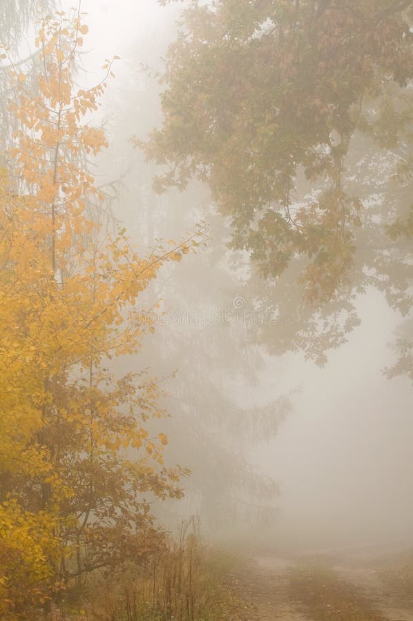 Autumn mist stock image. Image of outdoor, landscape - 27355289