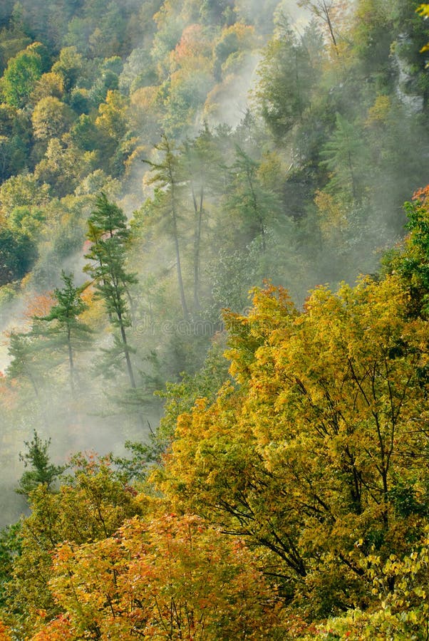 Autumn Mist stock photo. Image of nature, hills, fall - 7852146