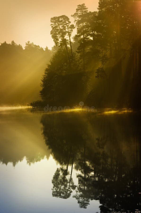 Autumn Mist of Early Morning Stock Image - Image of sunlight, natural ...