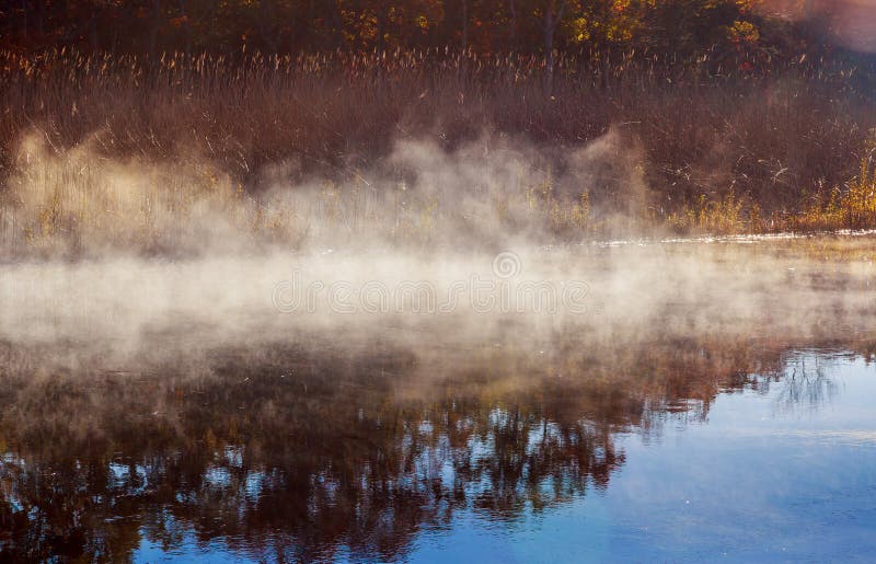 Autumn Mist in a Rainforest Stock Image - Image of river, sunlight ...