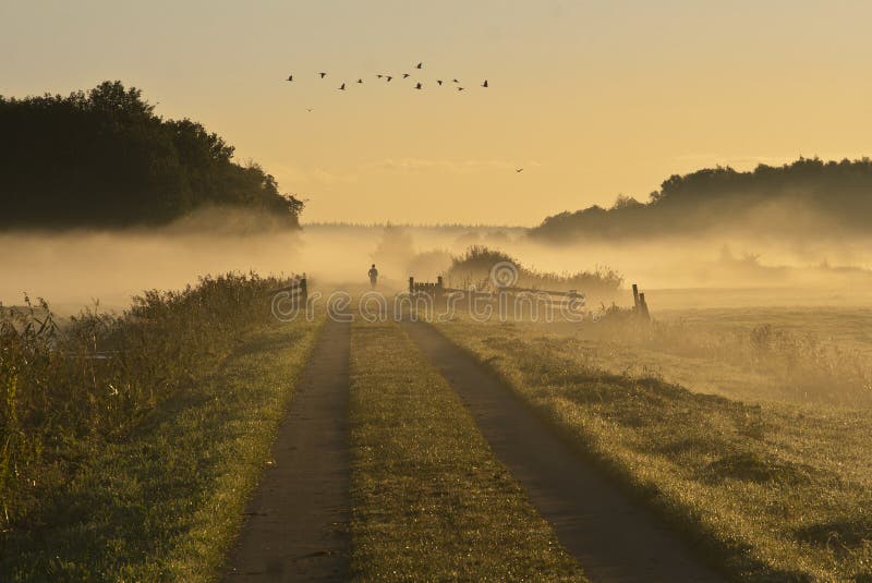 Autumn mist runner stock image. Image of disappears, gate - 26991649