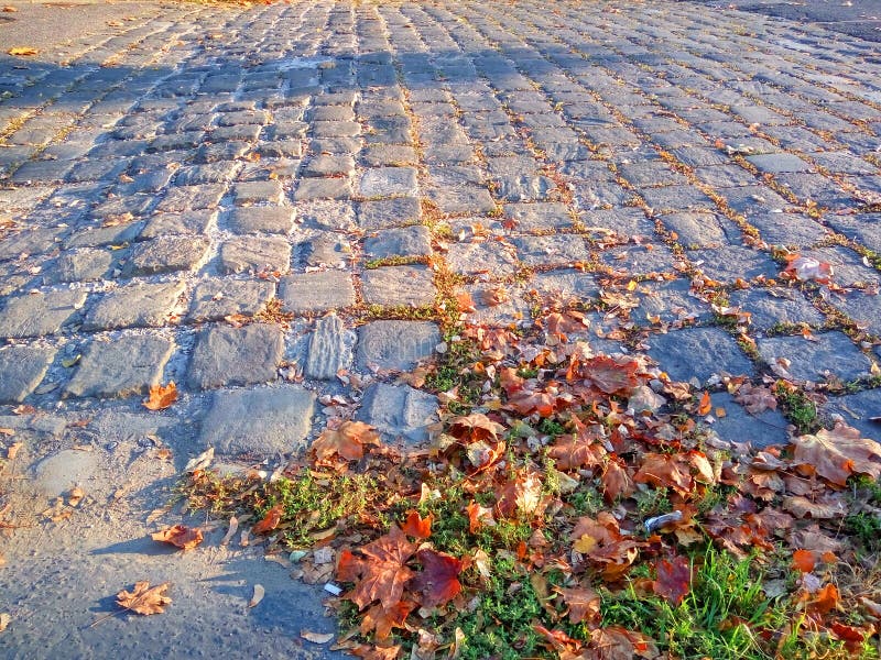 Cobbled Road with Autumn Leaves and Sunshine. Stock Photo - Image of ...