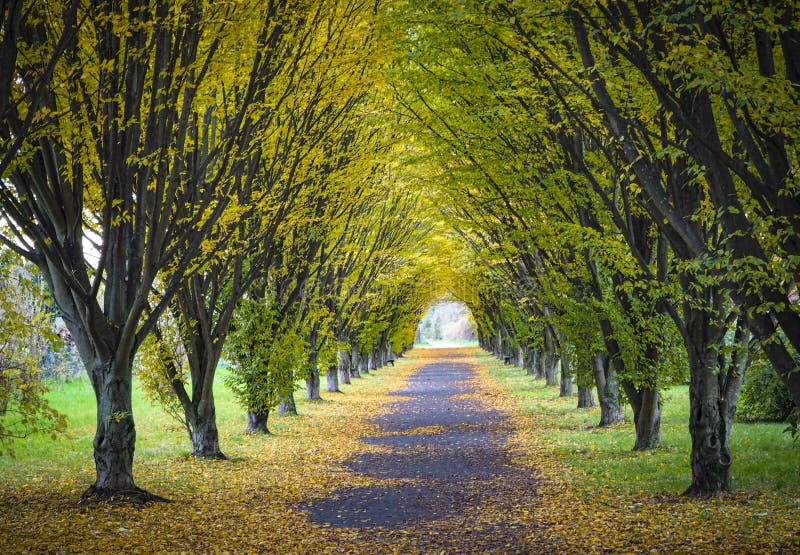 Autumn Mood Landscape with Lake and Forest in the Perfect Sunny Weather ...