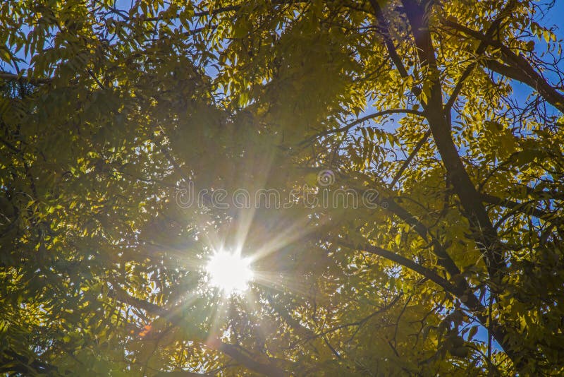 Autumn mood in october stock image. Image of sonnenstern - 62717071