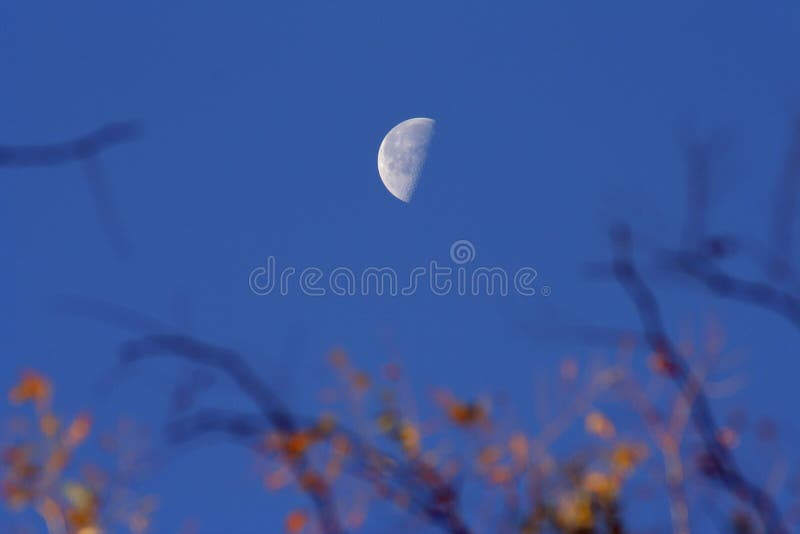 Autumn Moon stock image. Image of quarter, crater, fall - 302015