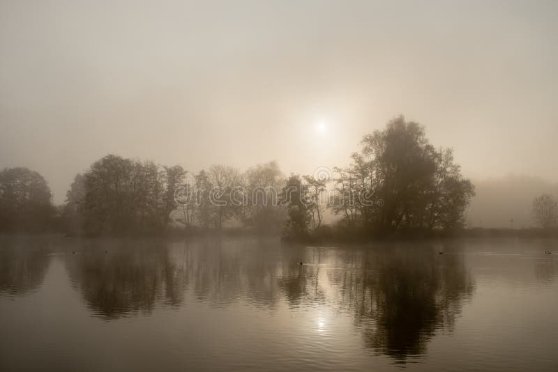 Autumn Morning Picture. Image: 142088453