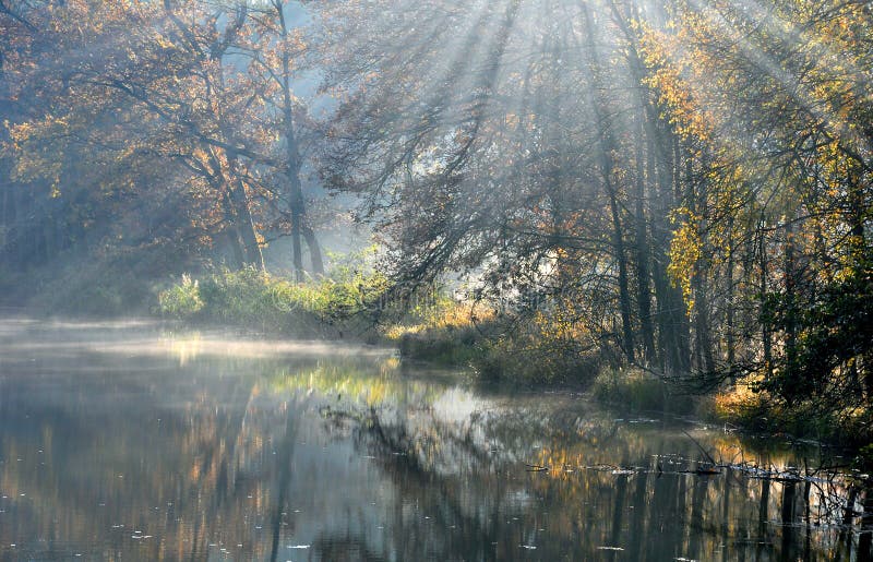Autumn morning stock photo. Image of foliage, lovely - 17506068
