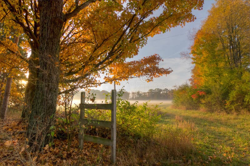 Autumn Morning stock image. Image of trees, field, mist - 21600159