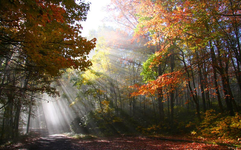Cabin in the Woods with Autumn Stock Photo - Image of roadway, natural ...