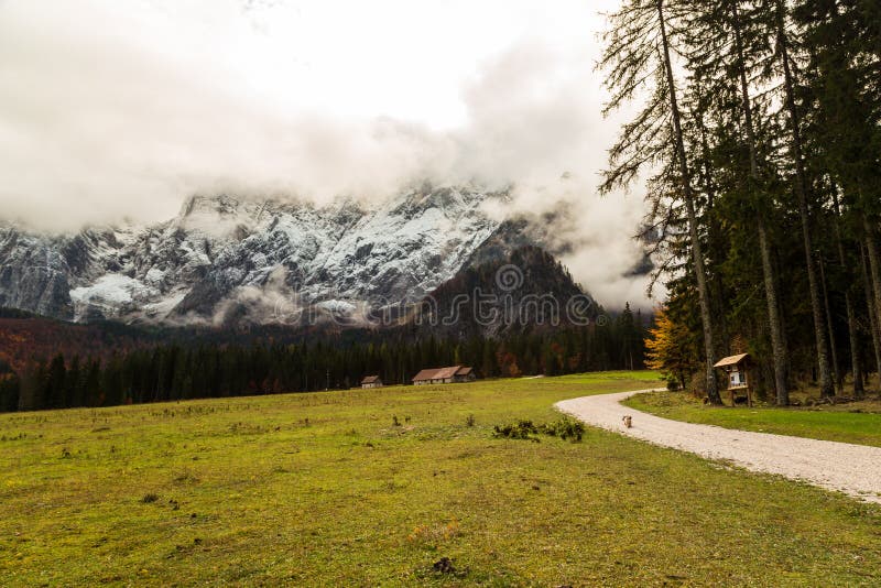 Autumn morning in the alps stock image. Image of nature - 66284773