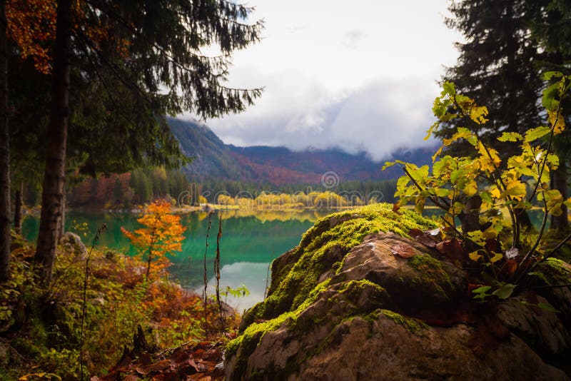 Autumn morning in the alps stock photo. Image of leaf - 80895754