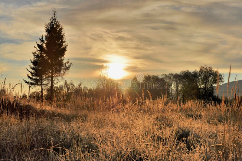 Beautiful Morning in Diffuse Light Stock Photo - Image of ecology, blur ...