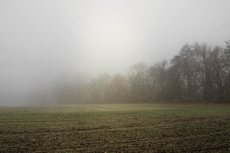 Autumn Morning on a Field with Trees and Morning Glow Stock Image ...