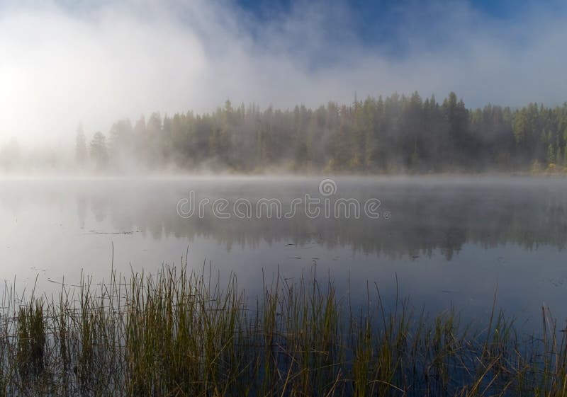 Autumn morning mist stock photo. Image of morning, reflection - 7250262