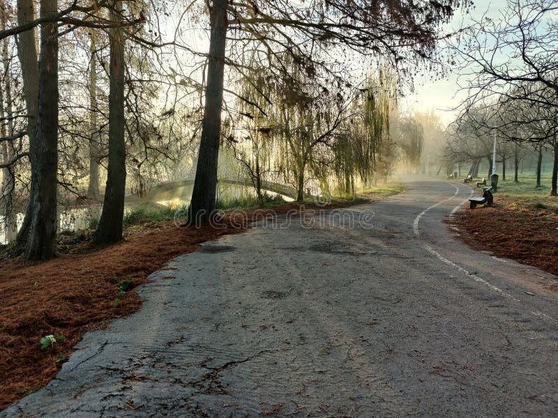 Autumn Morning in the Park - Sun Rays among the Trees Stock Photo ...