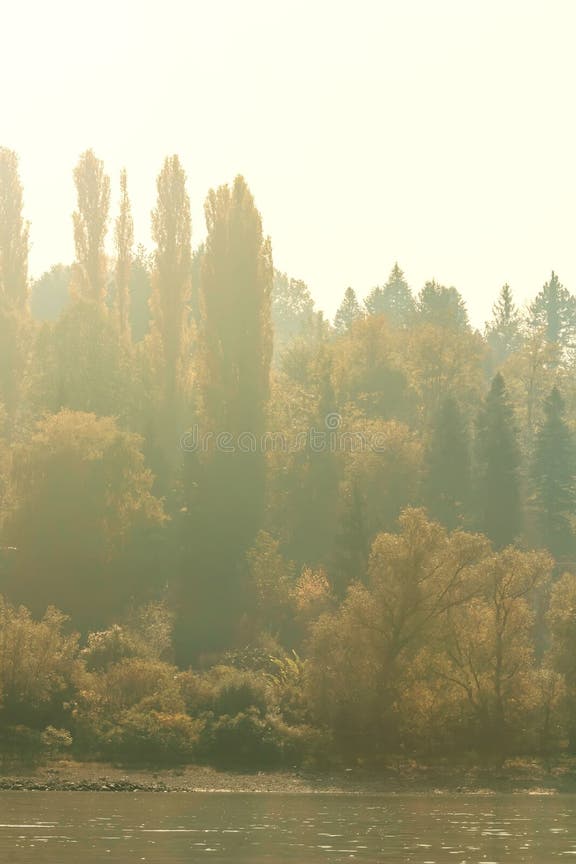 Autumn Morning on the River,Â Morning, Mist, Autumn, Water Surface ...