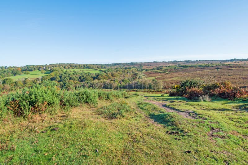 An Autumn Morning View Across the Open Spaces of Ashdown Forest England ...