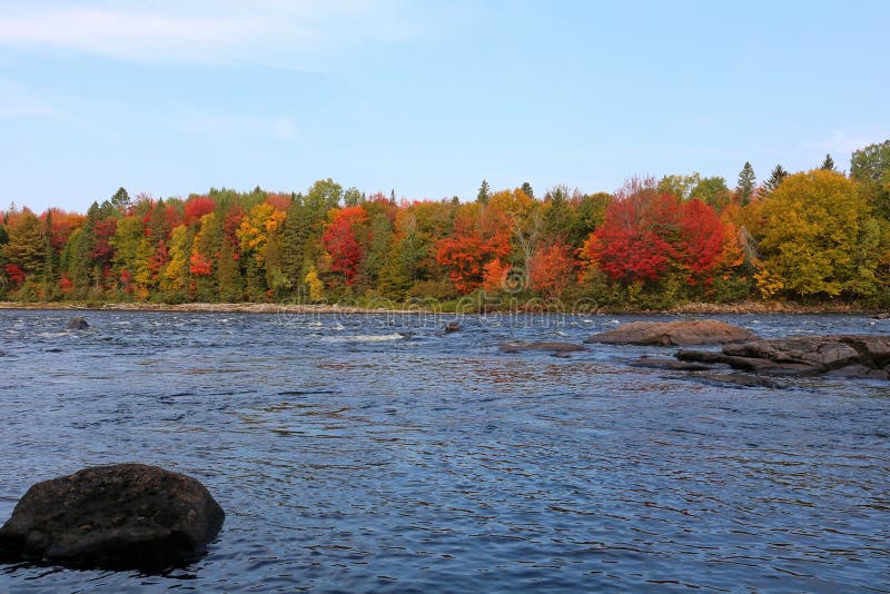 Autumn the Most Beautiful Season of the Year Stock Image - Image of ...