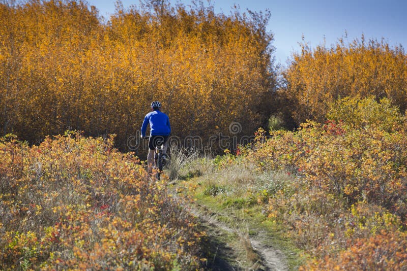 Autumn mountain biking stock photo. Image of cycling - 16488580