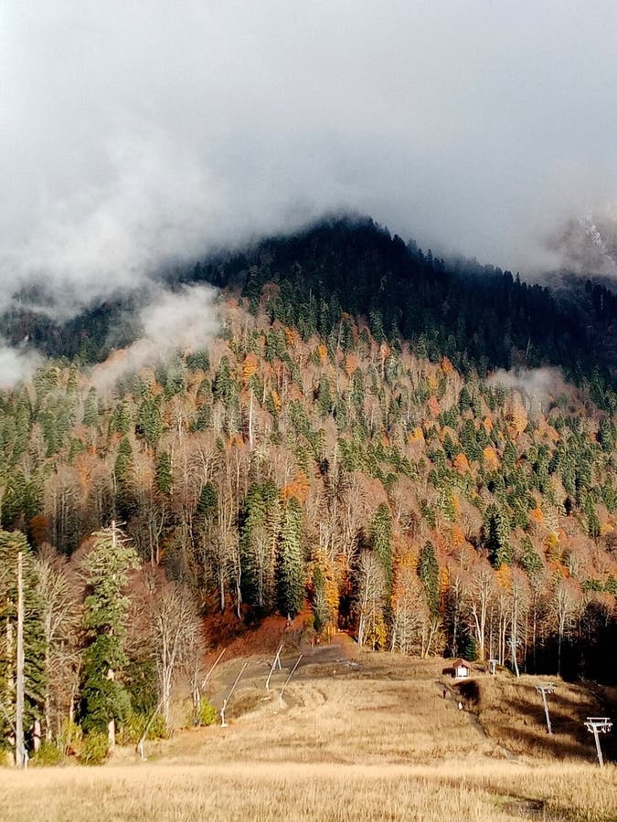 Autumn in Mountain. Golden Yellow Trees in Mountains and Cloud Stock ...