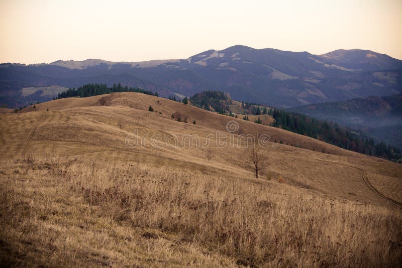 Autumn mountain hills stock image. Image of tree, farmland - 42569417