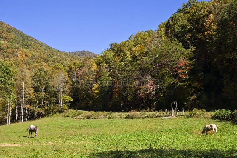 Farm Scene stock image. Image of field, machine, feed - 1059659