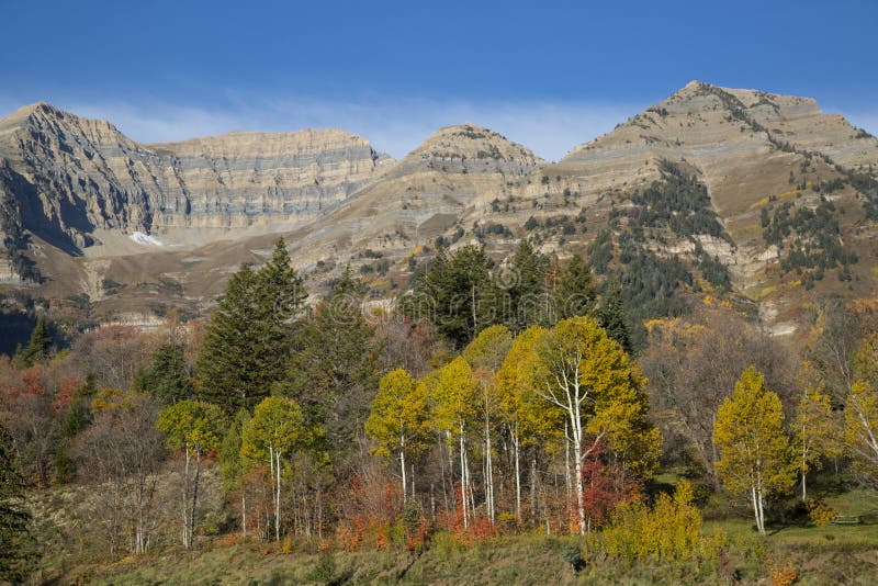 Autumn Mountain Scene with Pine and Apsen Trees Stock Image - Image of ...