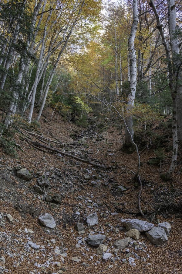 Autumn Mountain Side stock image. Image of country, cliff - 173552969