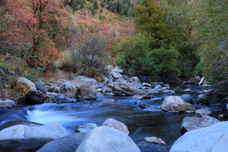 Autumn mountain stream stock image. Image of moss, hike - 77751737