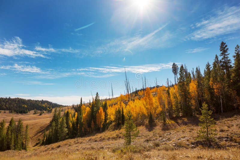 Autumn mountains stock image. Image of autumn, landscape - 230556795