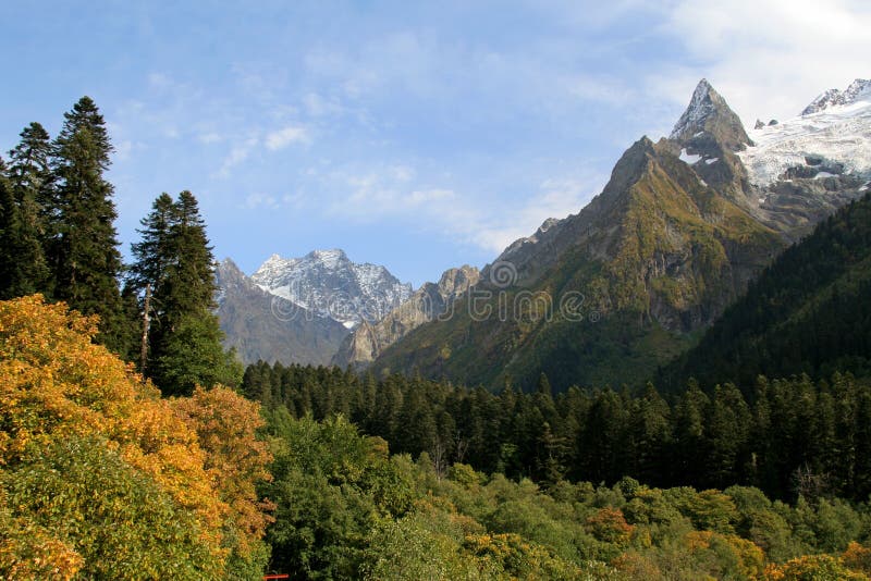 Autumn in the Mountains. Yellow Trees on a Background of Snow-capped ...